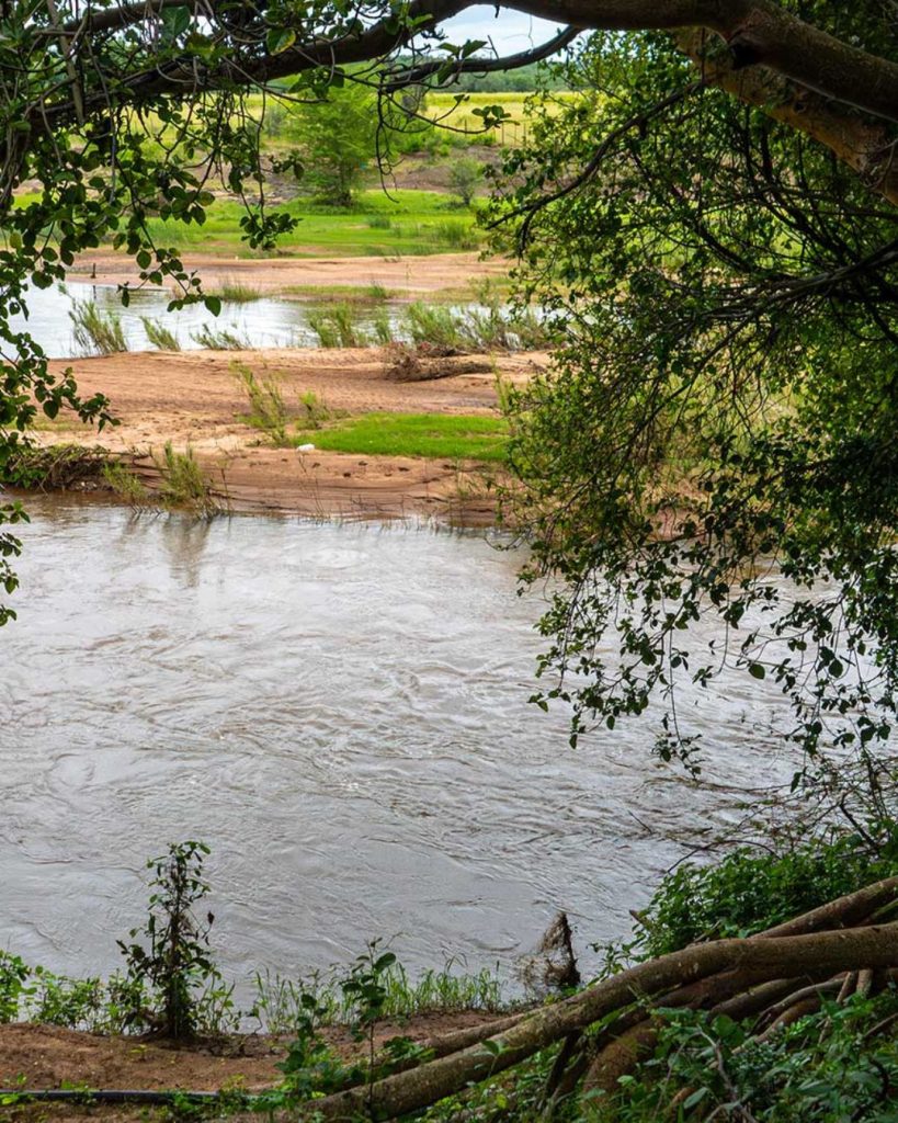 Home - Pafuri Rivercamp