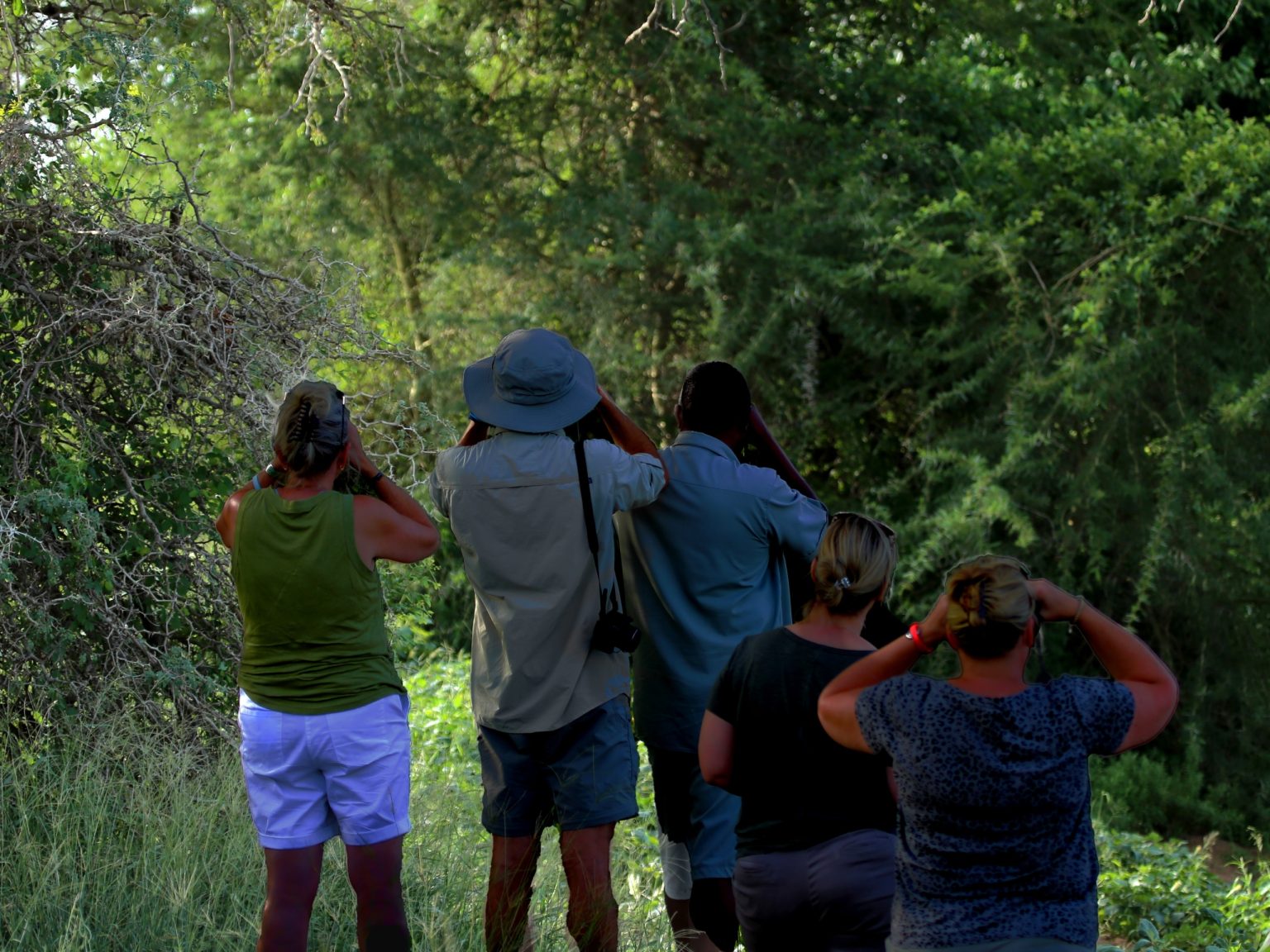 Activities - Pafuri Rivercamp