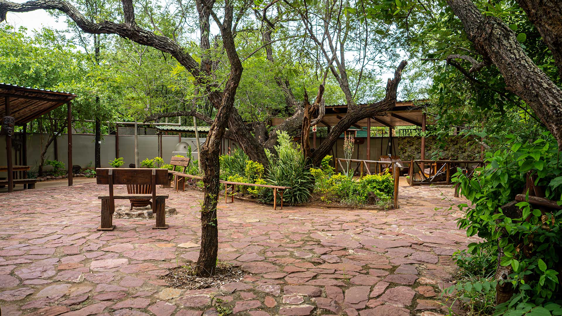 Our Camp - Pafuri Rivercamp